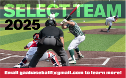 Home [www.gaabaseball.org]
